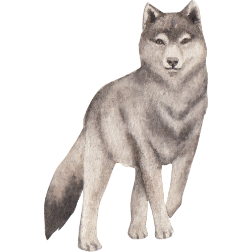 LineageW 數據實驗室